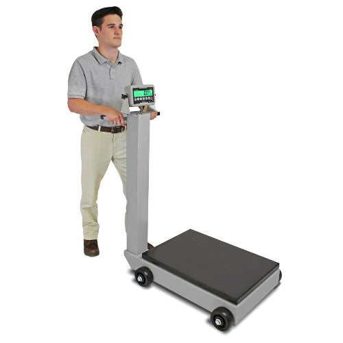 Portable Digital Floor Scale Indicator Detecto 5852F-190