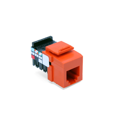 b19_93a3d491-4c9c-4ee9-b5c6-ab84513b23eb_1200x1200.png?v=1708578535