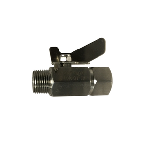 1/4" Mip X Fip Stainless Steel Mini Ball Valve 46903SS