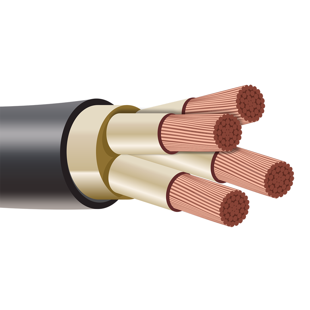 220_54fa7ea6-7fd3-4193-9542-9a9526218fb3_1200x1200.png?v=1634636806