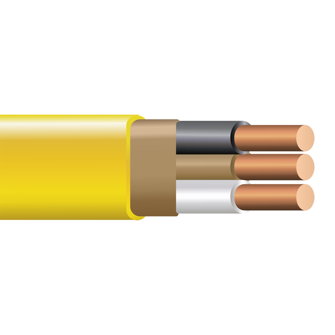 30_ab690cc0-8f90-4161-af18-c838043ce3e6_1200x1200.png?v=1621607191