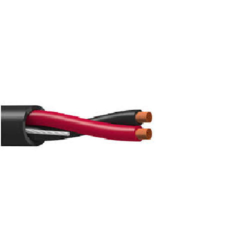 Belden 9412 12 AWG 1 Pair TC E2 PLTC-ER High Performance Instrumentati